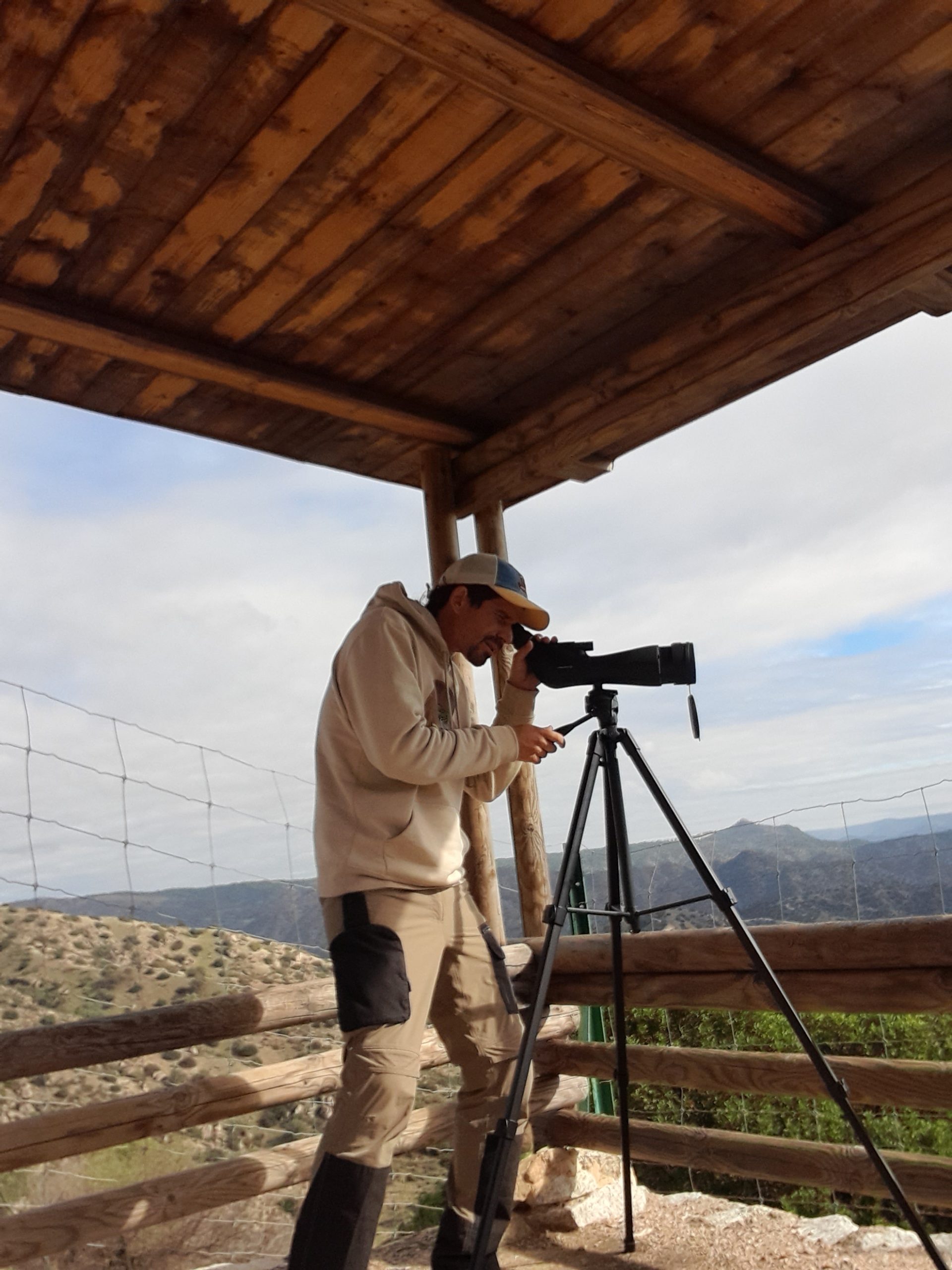 Extremadura bird guide online. All the birds in 2026